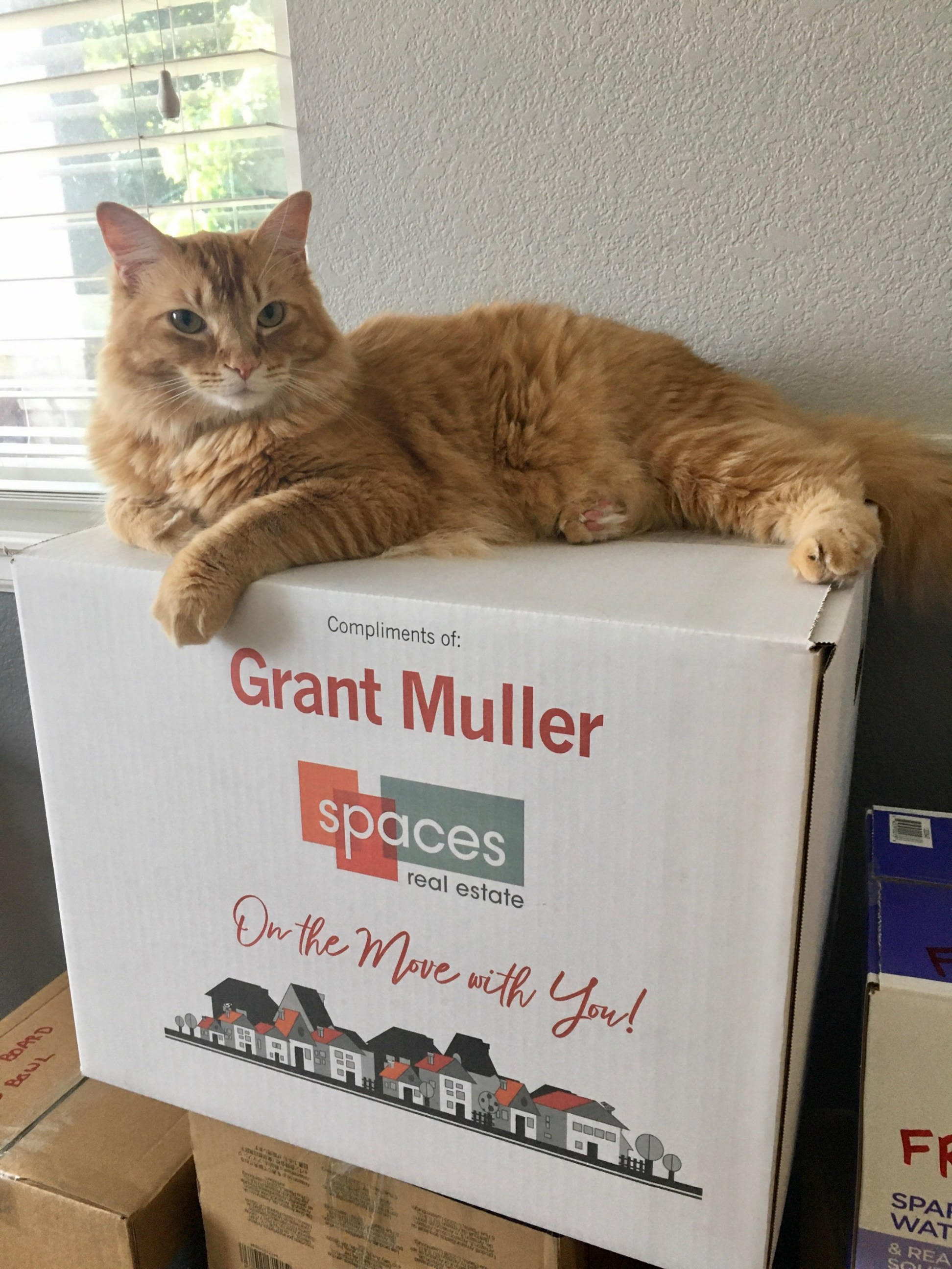 Customized - Personalized Moving Boxes for Closing Gifts